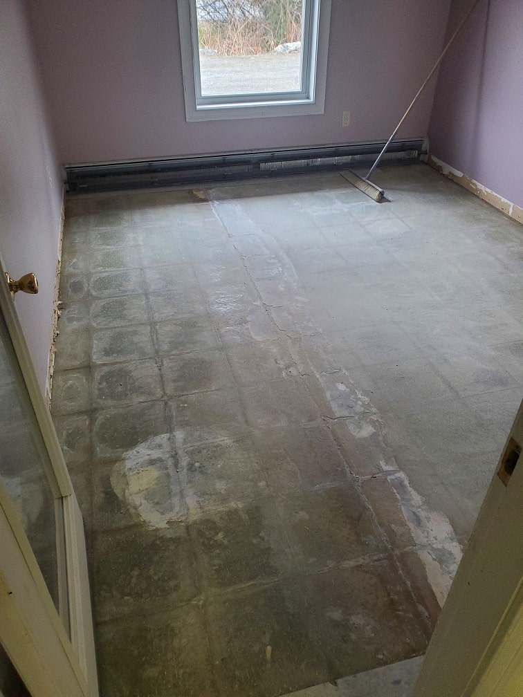 Pet Emergency Boarding for a Family After a House Fire