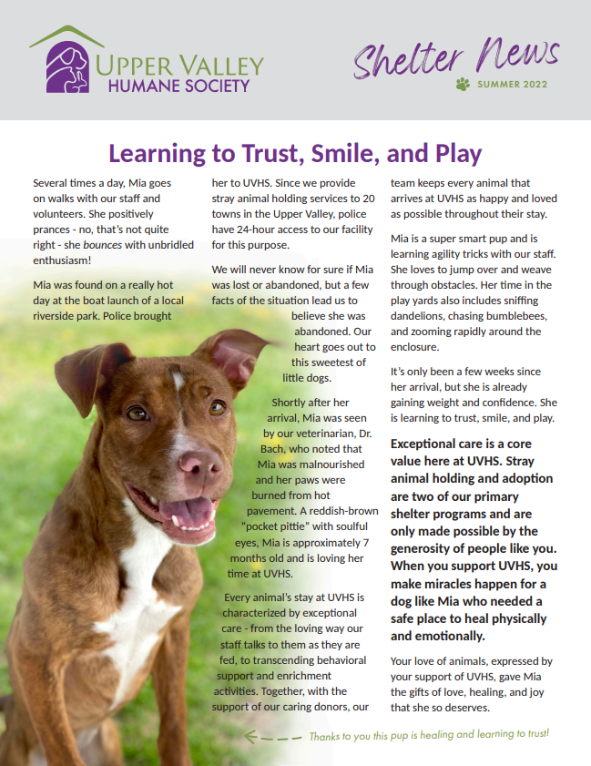 Newsletters – Upper Valley Humane Society