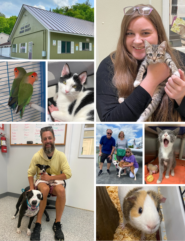 Upper Valley Humane Society Annual Reports