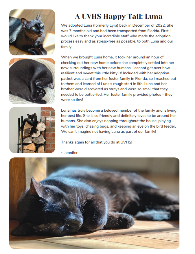 Newsletters – Upper Valley Humane Society